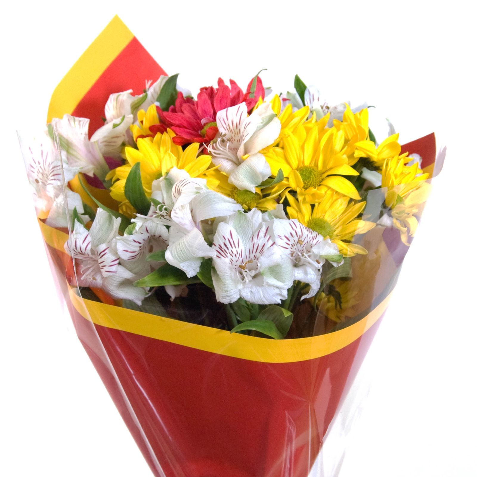 Simplicity Series 2 | A-ROO Company