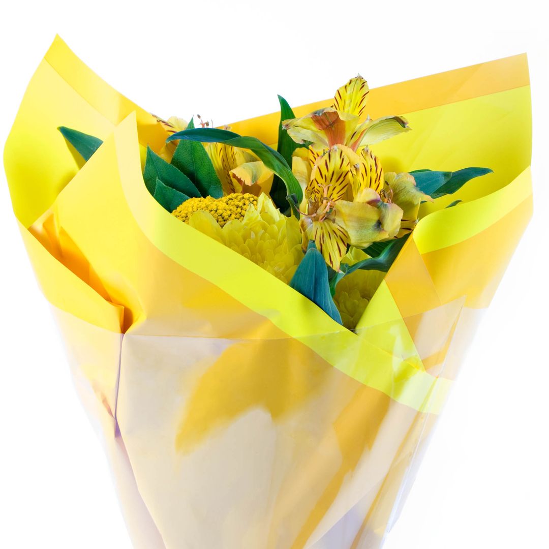 Simplicity Series | A-ROO Company