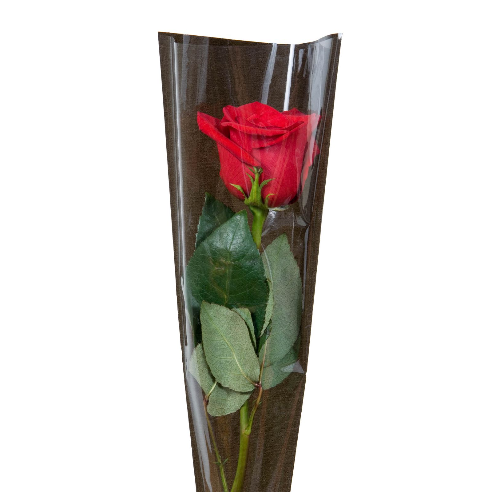 Single Rose Sleeve | A-ROO Company