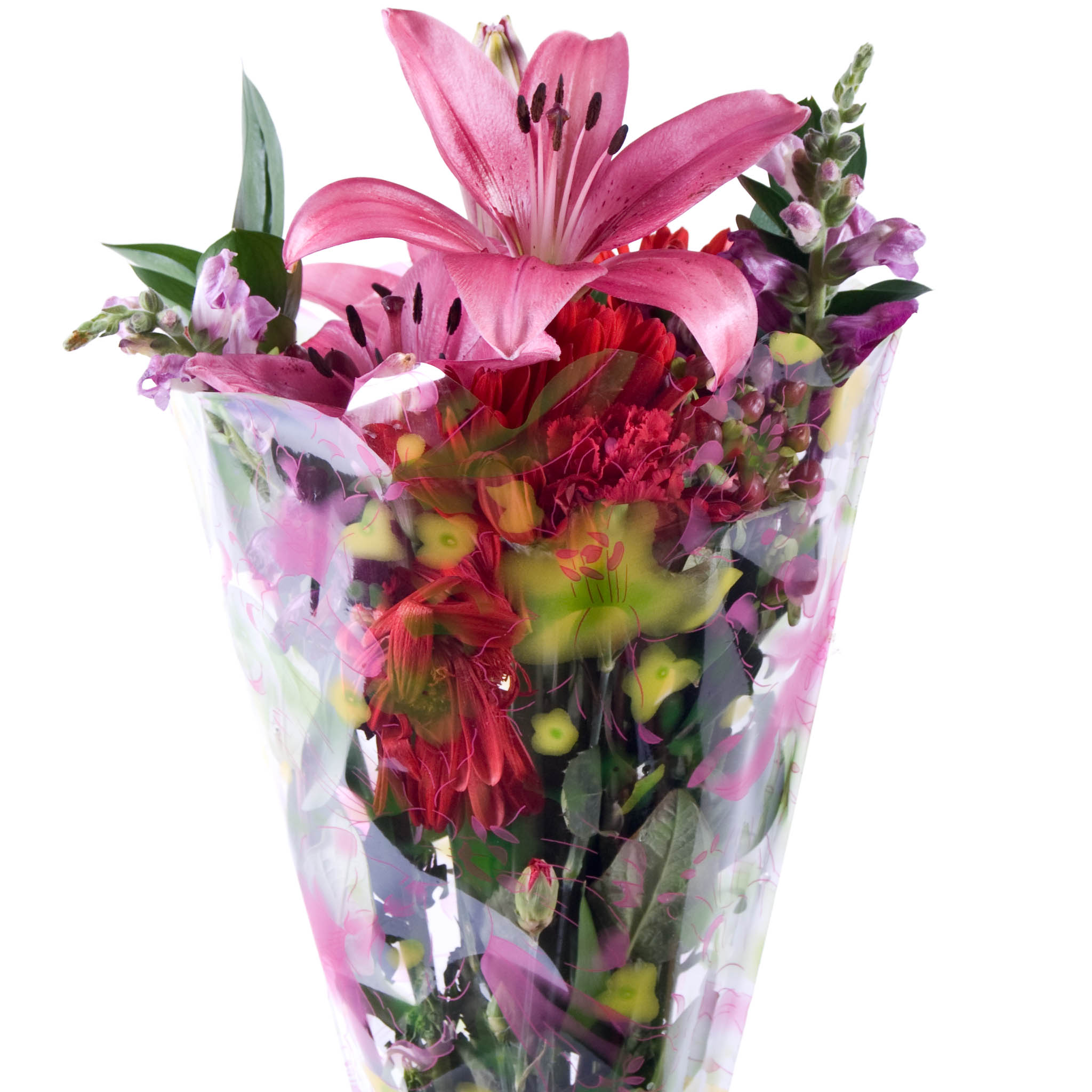 Something Spring Frost | A-ROO Company