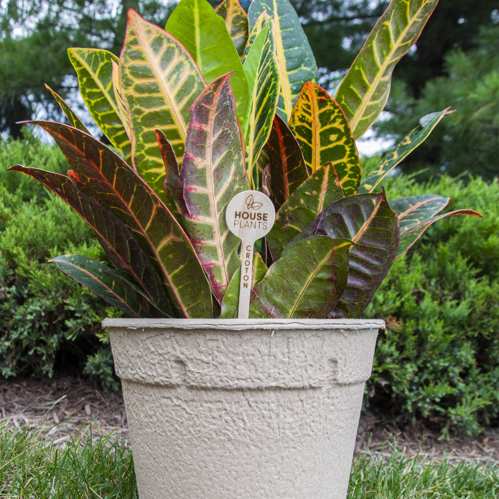 Sustainable Plant Markers | A-ROO Company