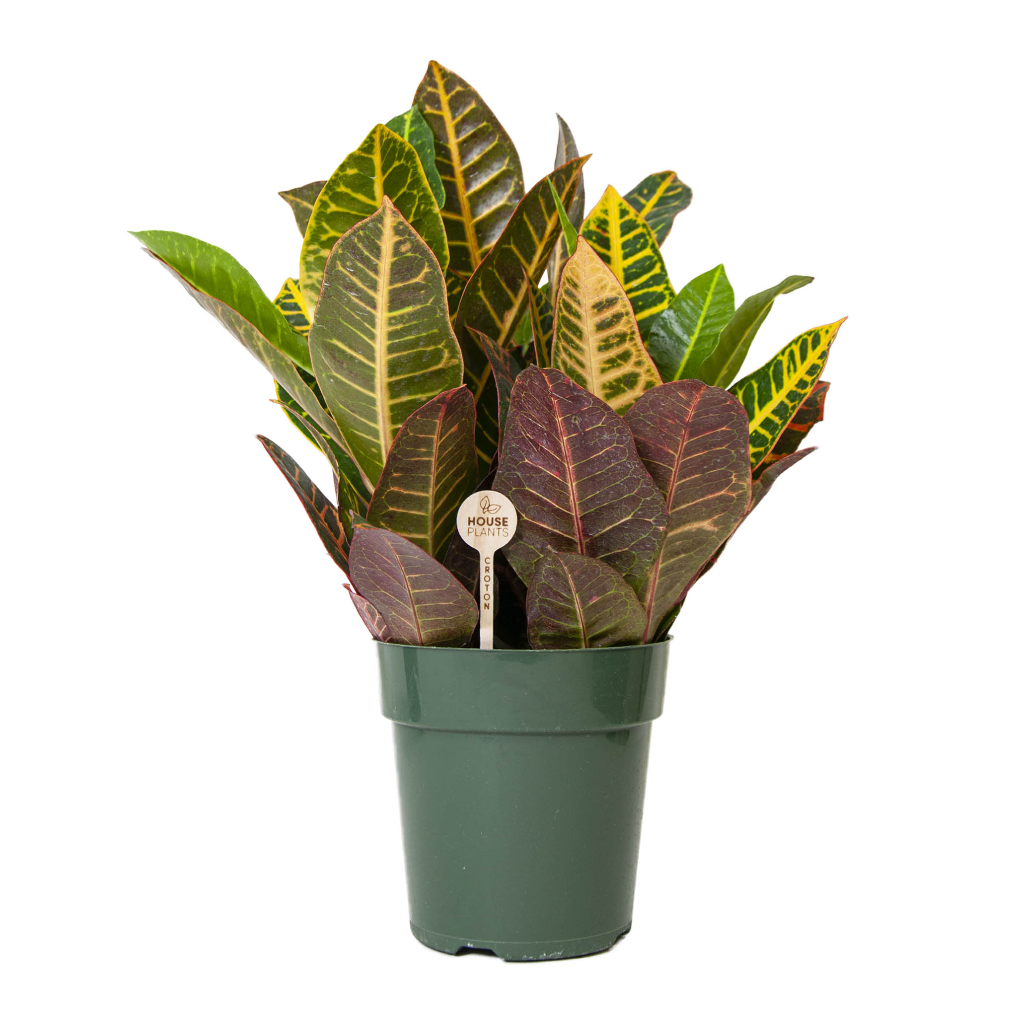 Sustainable Plant Markers | A-ROO Company