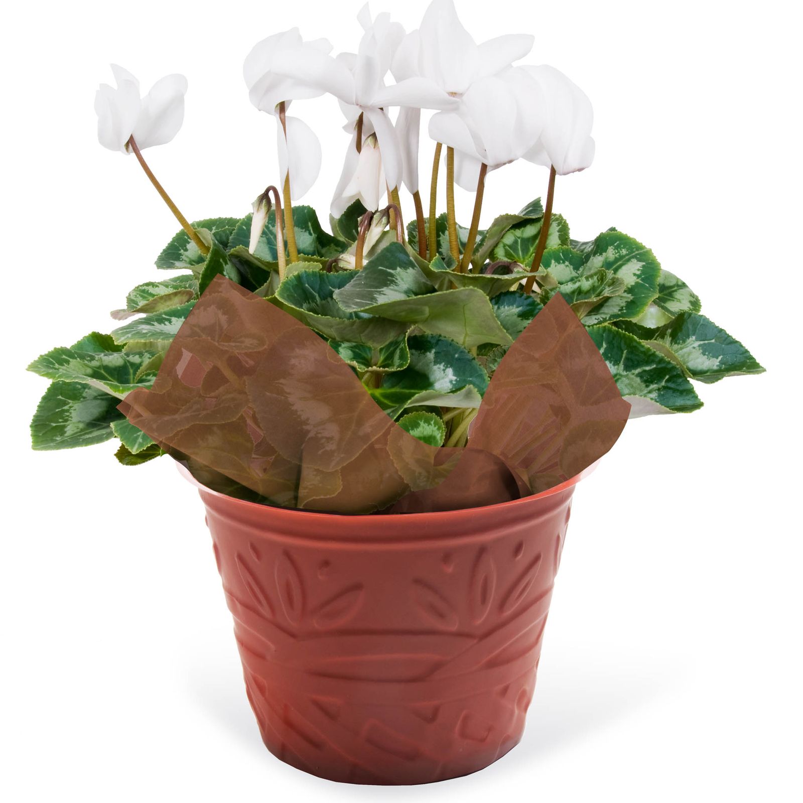 Pot Covers and Over Pots from A·ROO Company