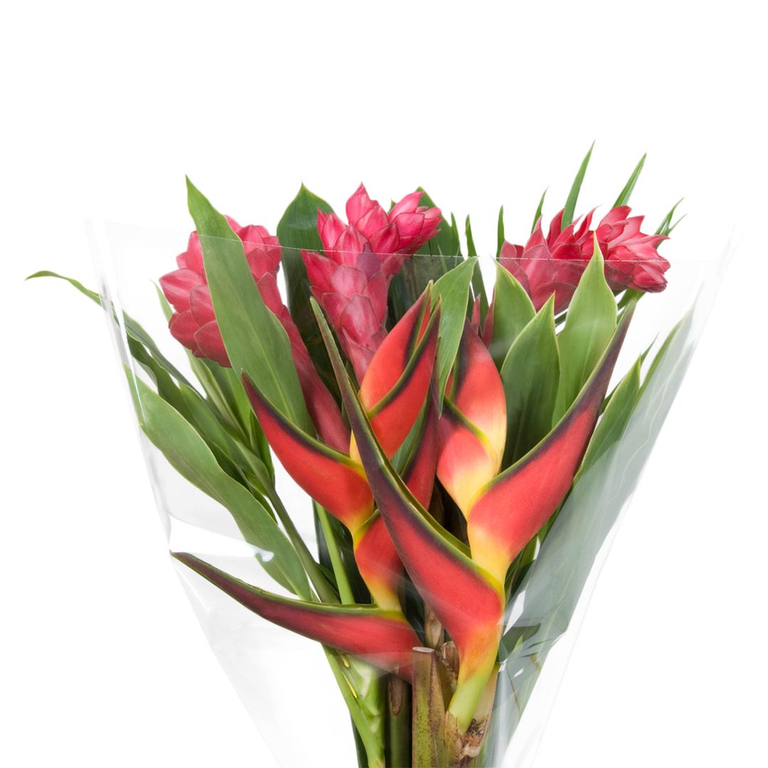 Unprinted/Clear BOPP Sleeves | A-ROO Company