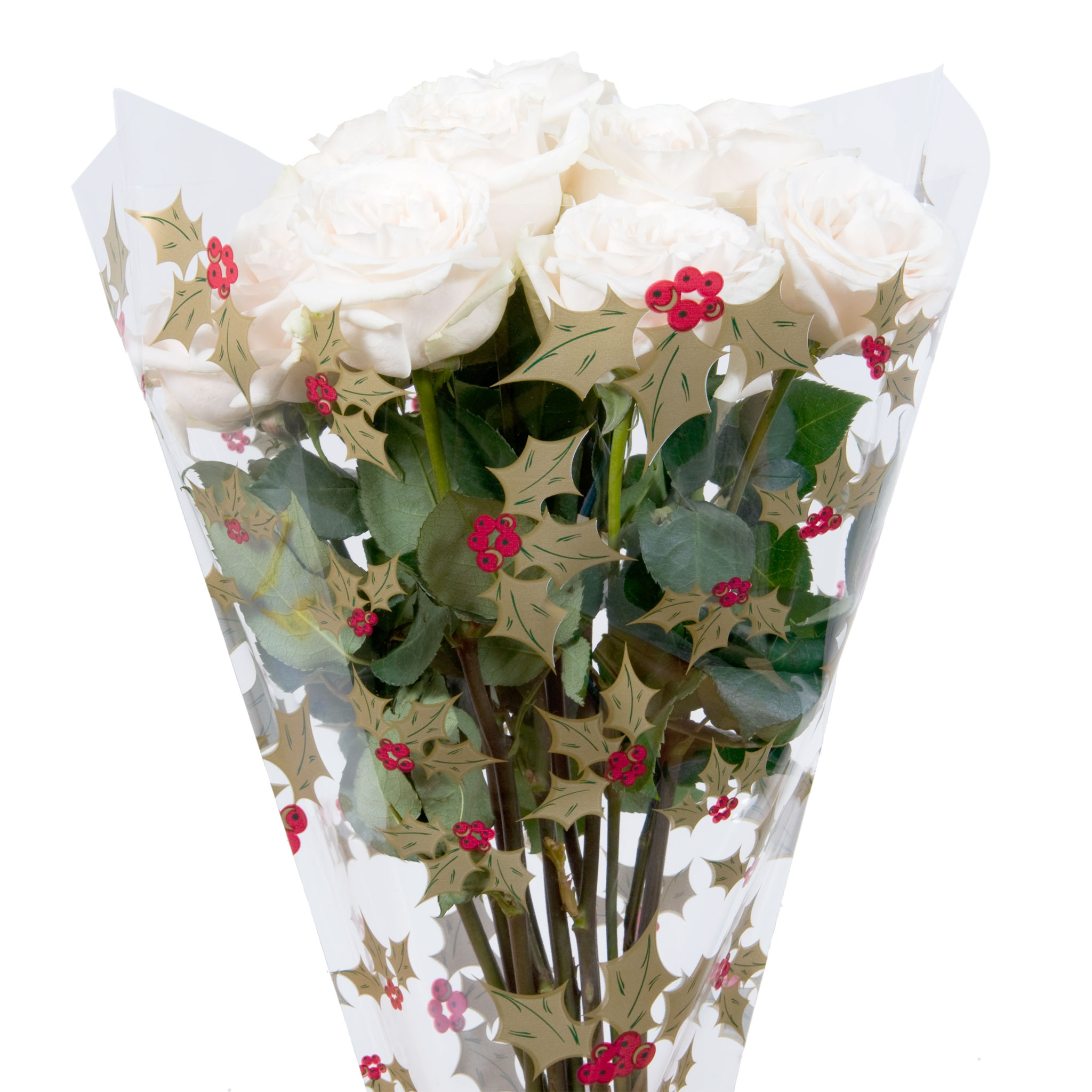 Holly | A-ROO Company