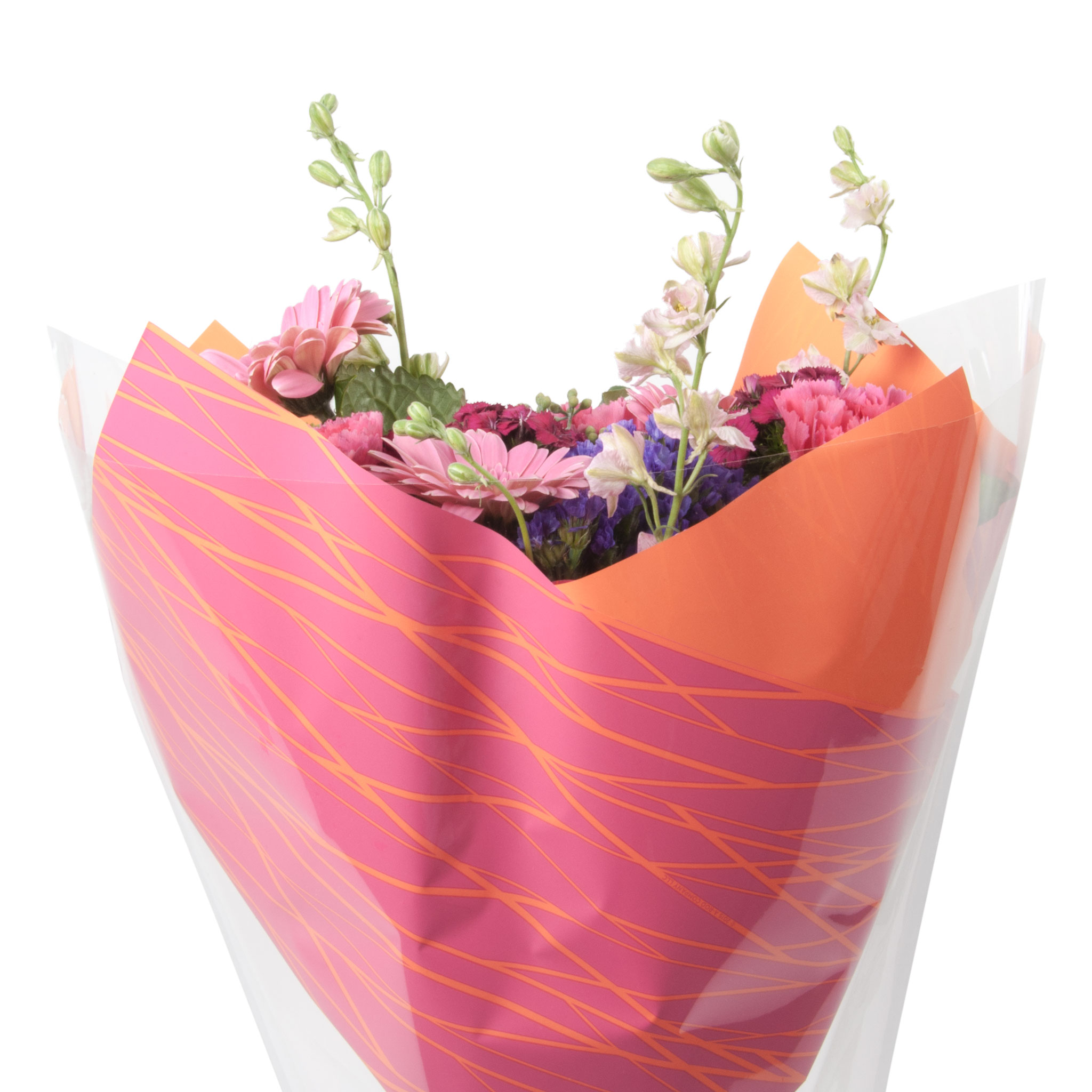 Linea Mini-Collection | A-ROO Company