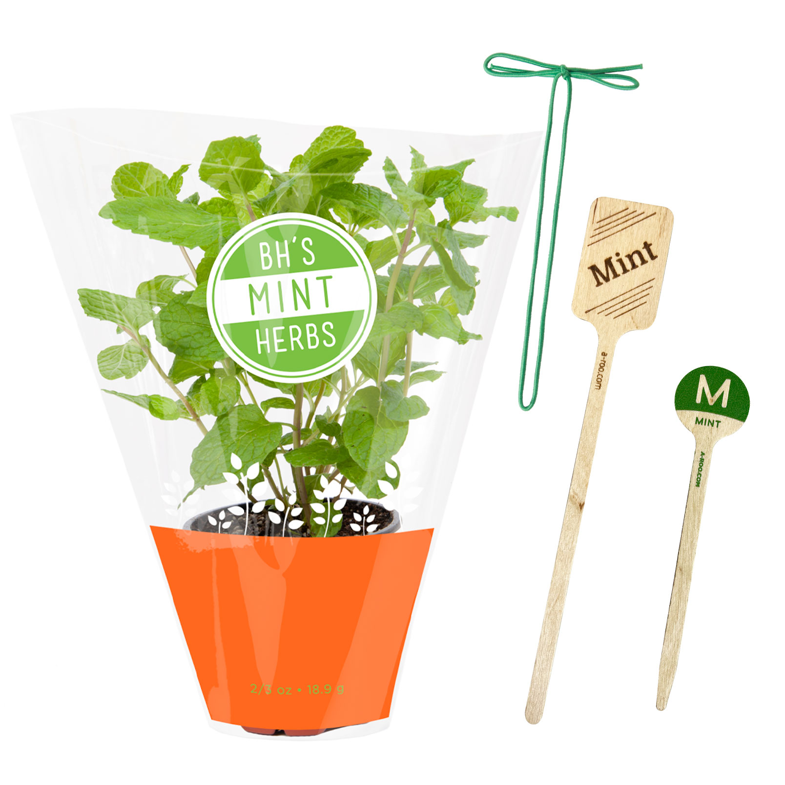 Concept Solutions | A-ROO Company