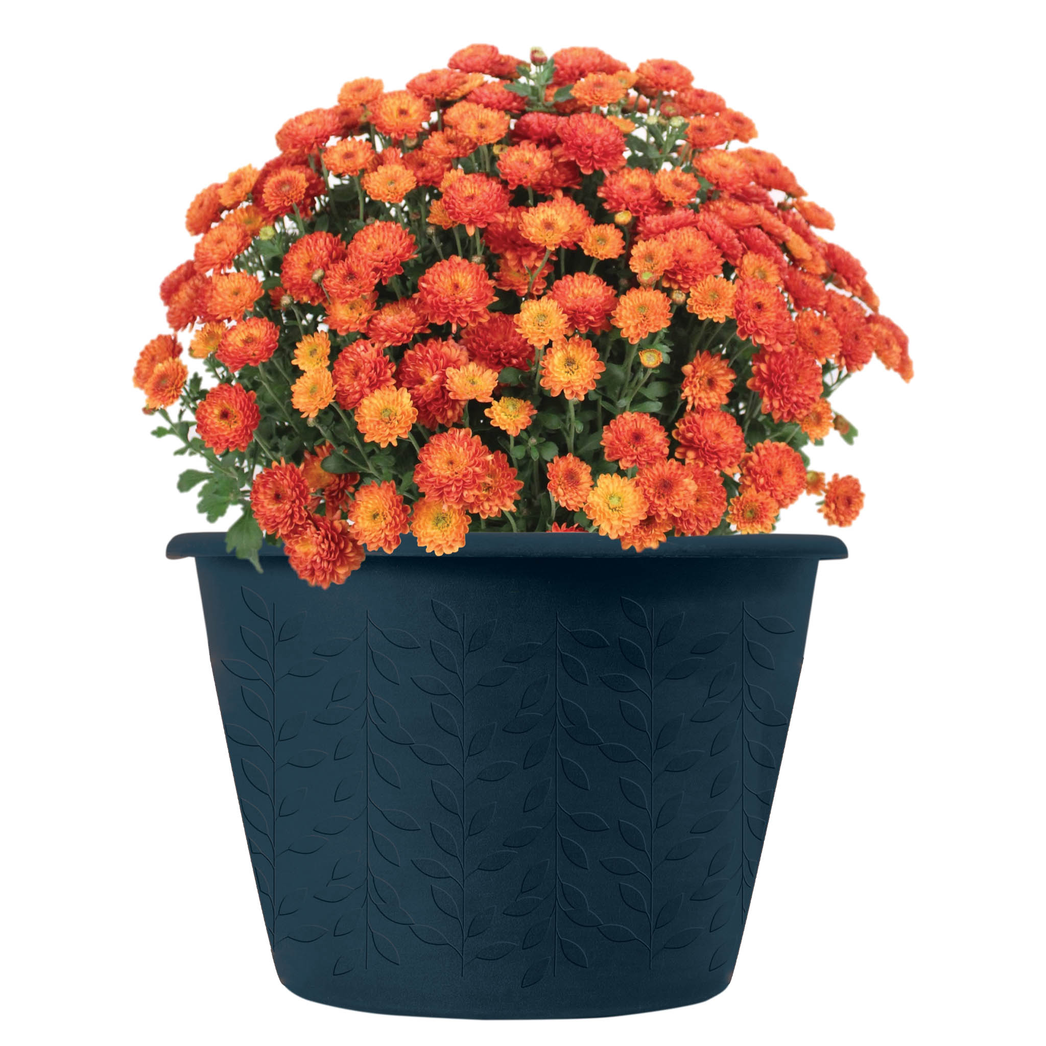 Impression Floral Containers | A-ROO Company