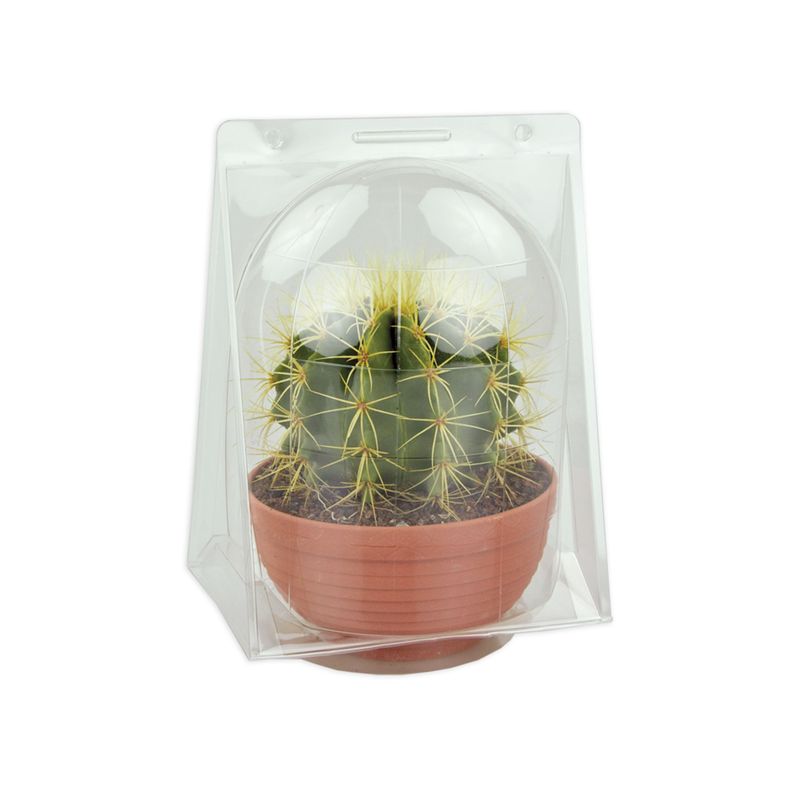 Voges Plant Blisters and Mailers | A-ROO Company