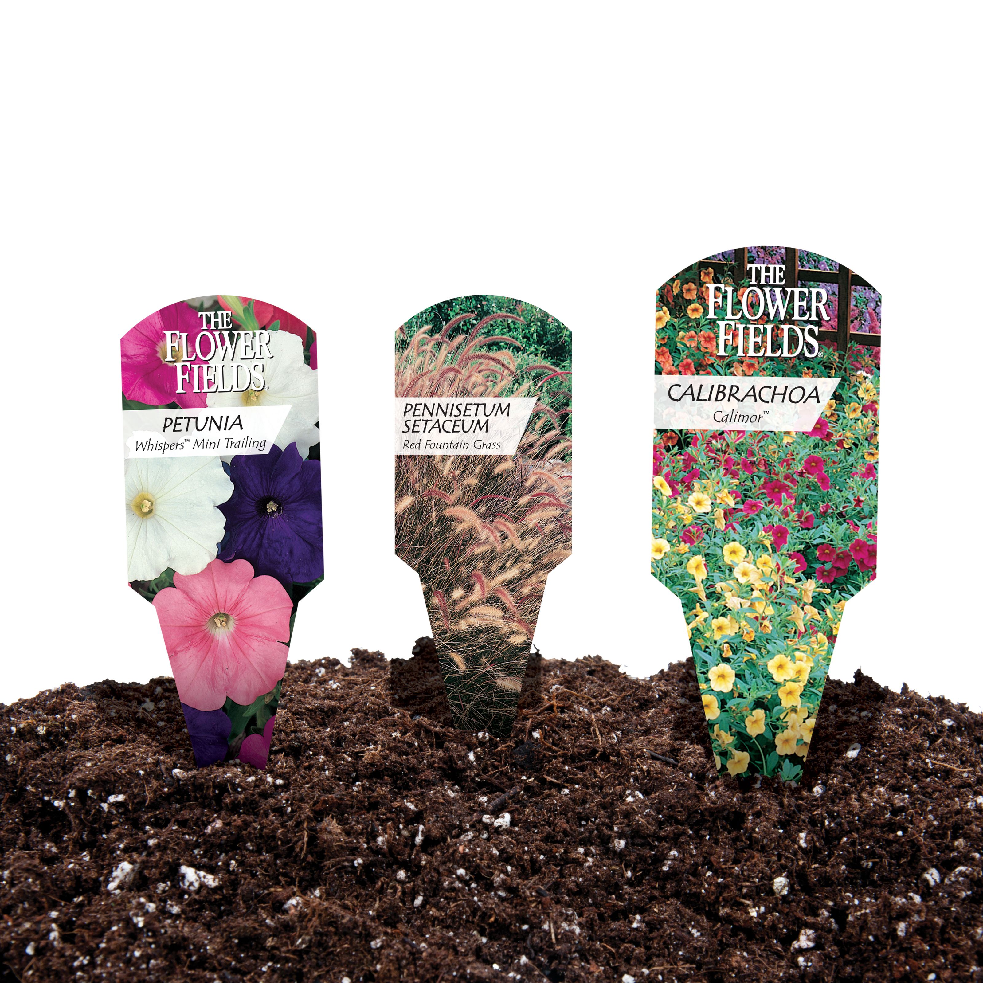 Stick Tags | A-ROO Company