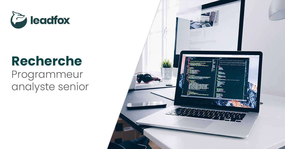 Programmeur analyste senior