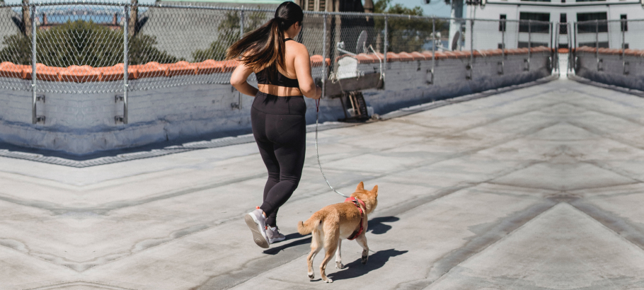 Sweat it Out: The Top Benefits of Cardiovascular Fitness - Nutrisense ...