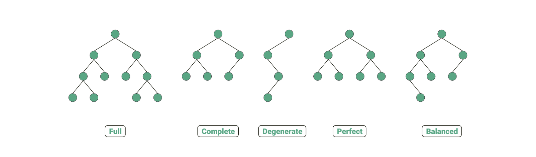 Trees and Binary Trees - Intro to Data Structures