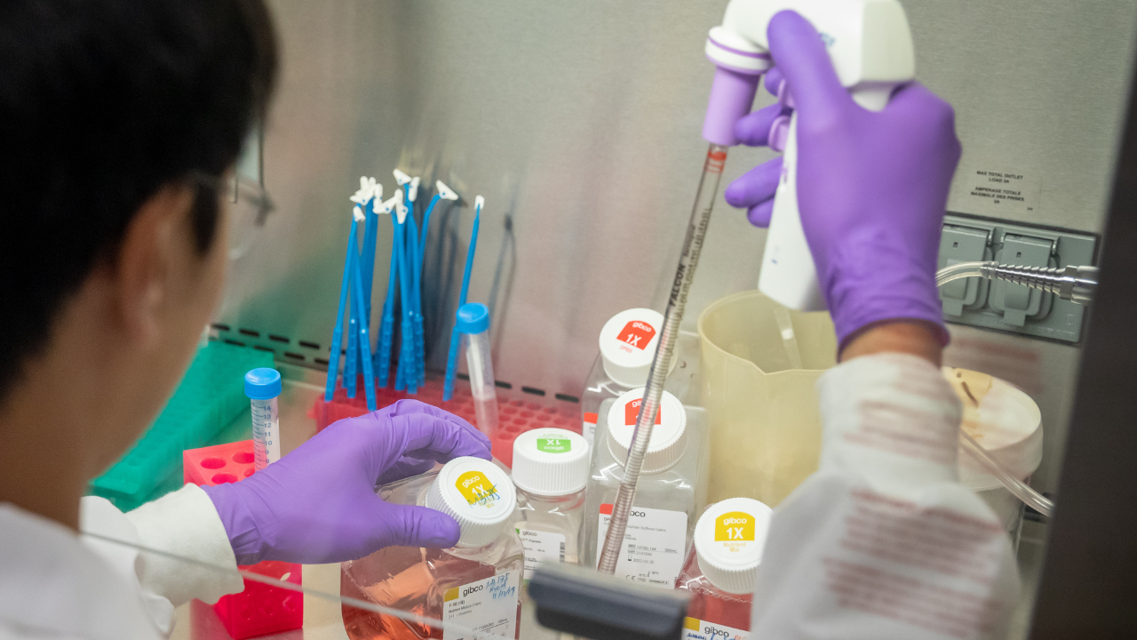 Exploring pathways to increase access to therapies for ultra-rare ...