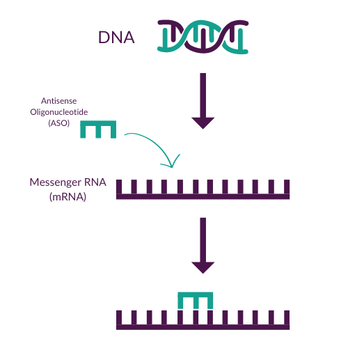 SCA3 Program Overview | | Cure Rare Disease