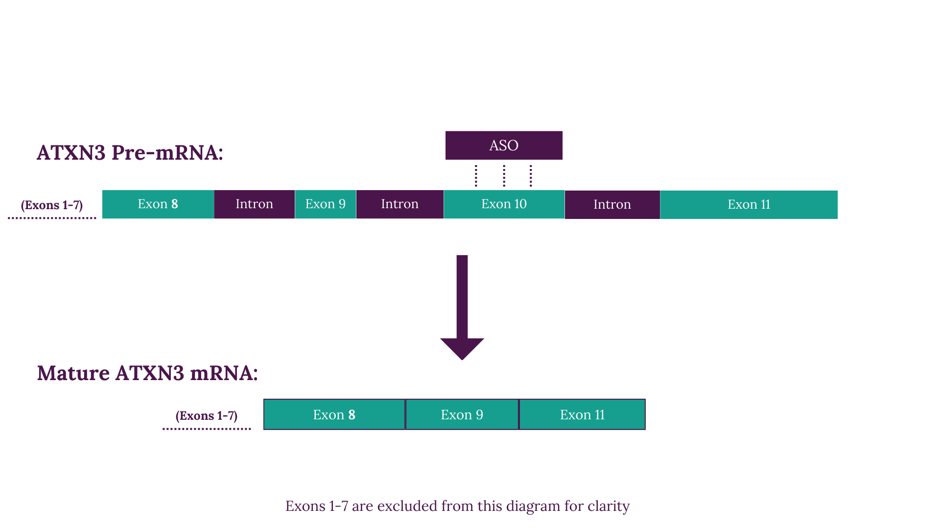 SCA3 Program Overview | | Cure Rare Disease