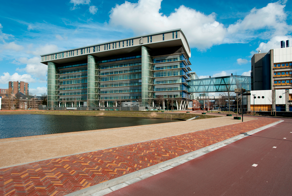 Researcher Spotlight: Willeke van Roon-Mom | | Cure Rare Disease