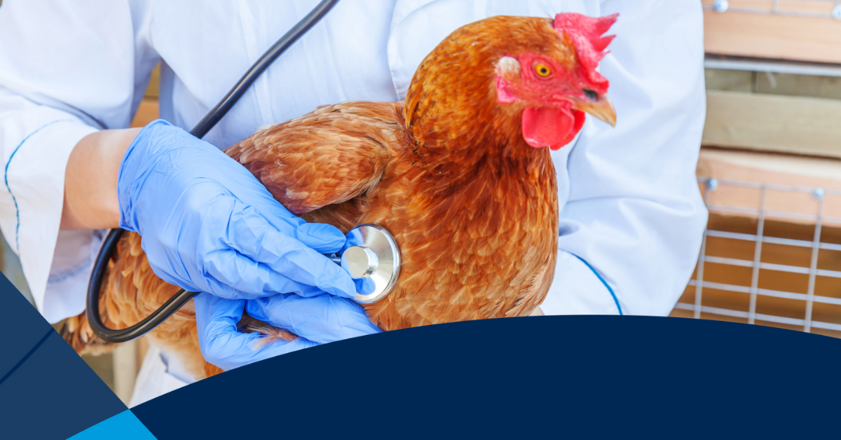 The road to regulatory approval of animal nutrition and health products ...