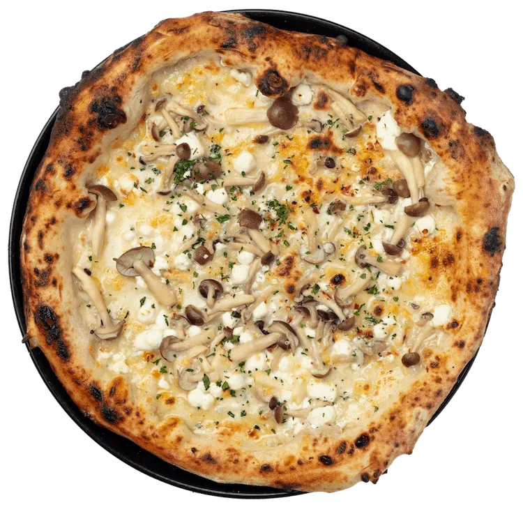 Nardò - Authentic Italian Restaurant