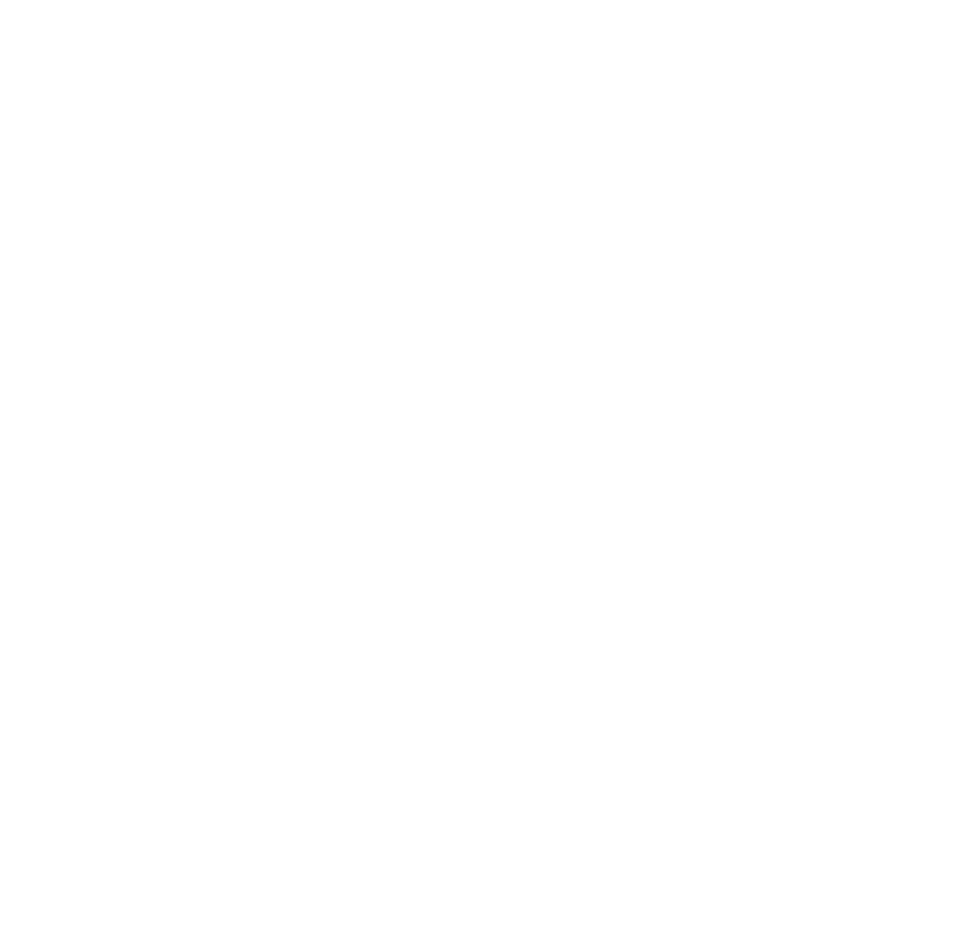 Nido - Austin Rooftop Dining -The Loren Hotel