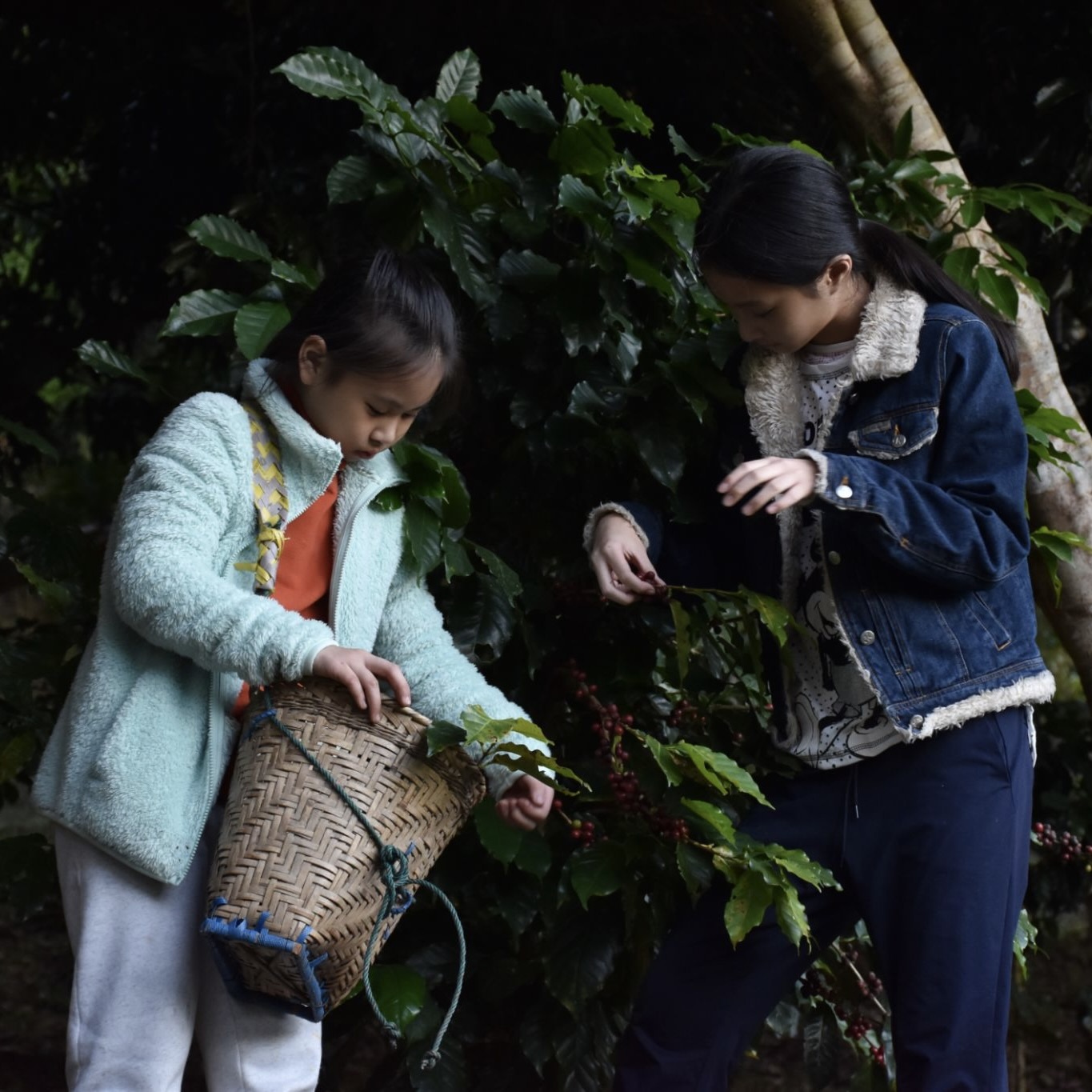 SASE -A Future School for Now | Progressive School in Bangalore