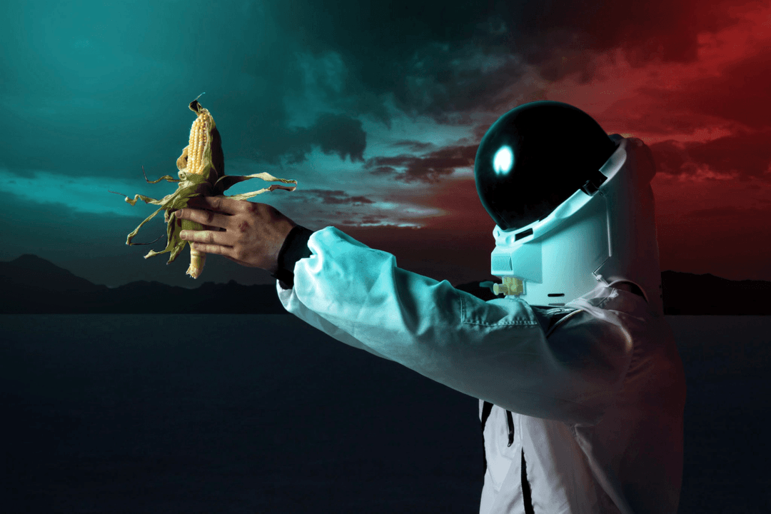 SASE -A Future School for Now | Progressive School in Bangalore