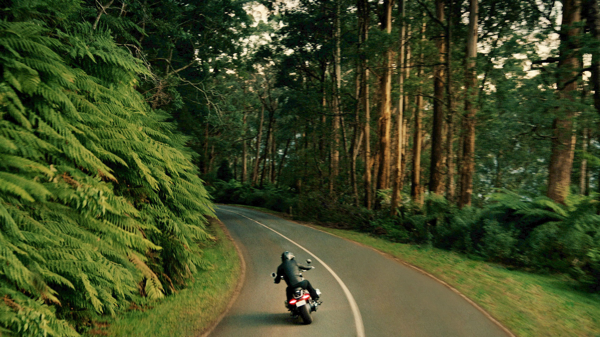 Pangea Agency | Creative Agency | Melbourne | Los Angeles | eric insurance