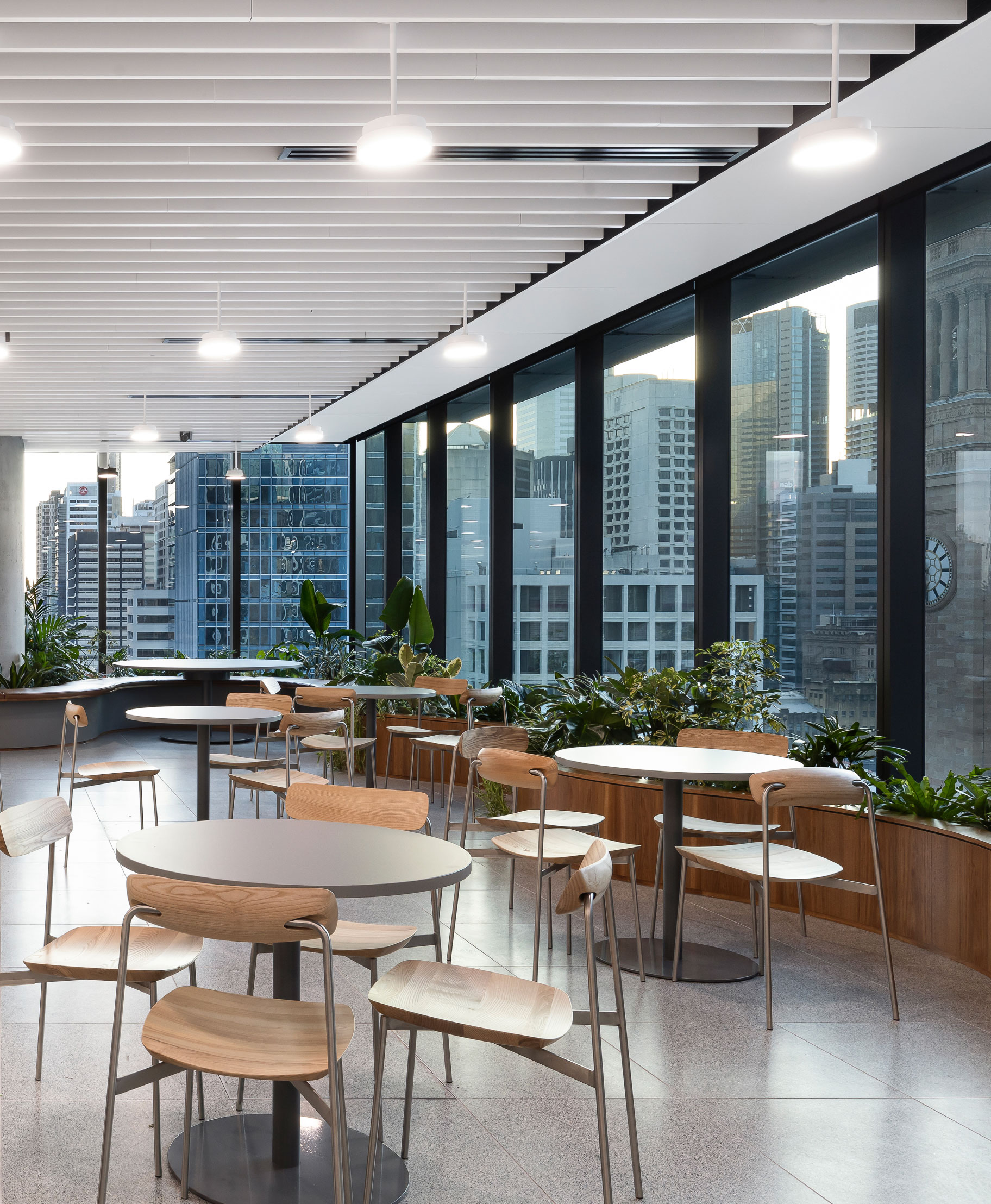 Your Ceiling Specialist | MBS Architectural