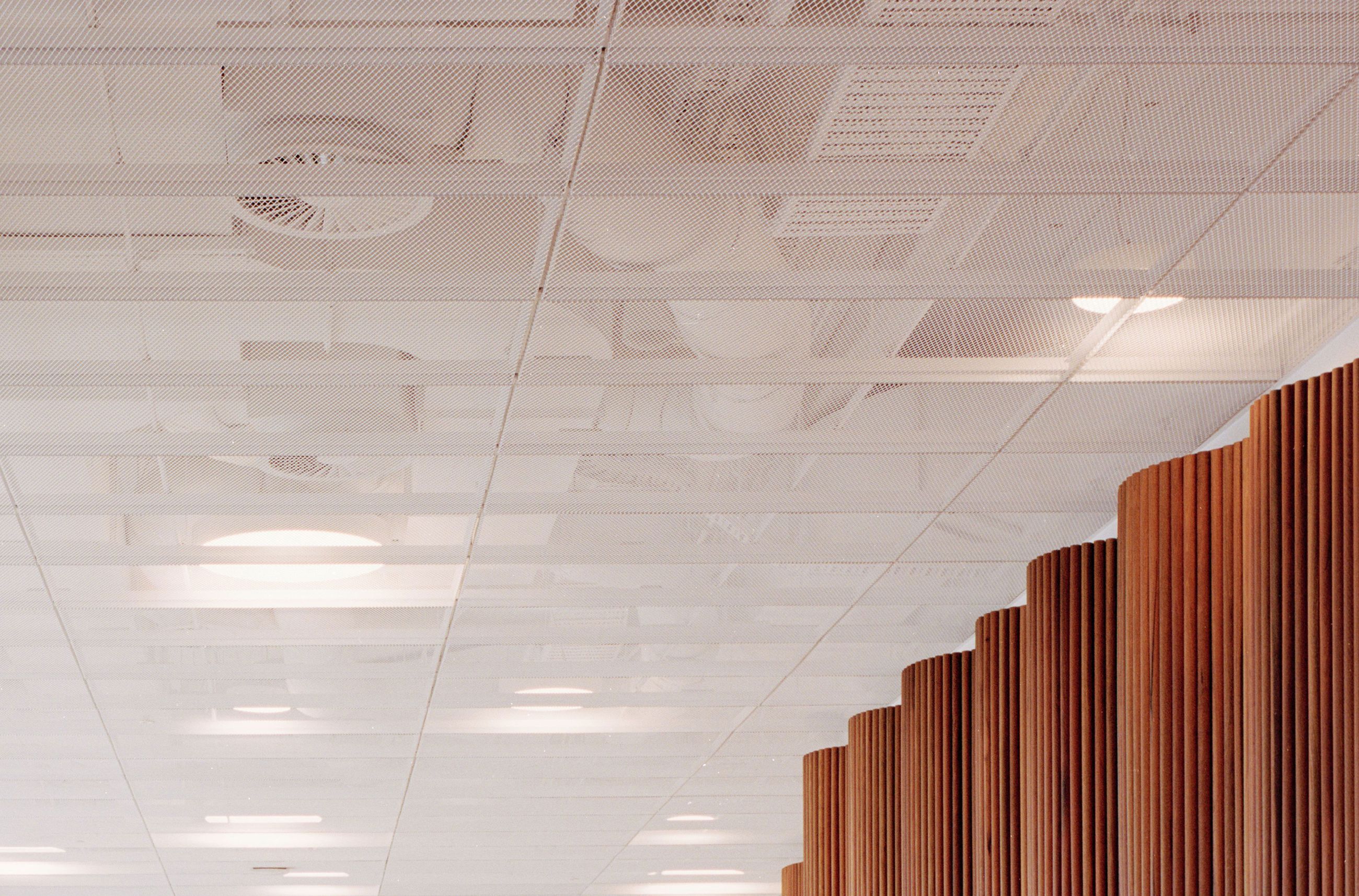 Innovative Suspended Ceiling Systems: A Designer’s Guide