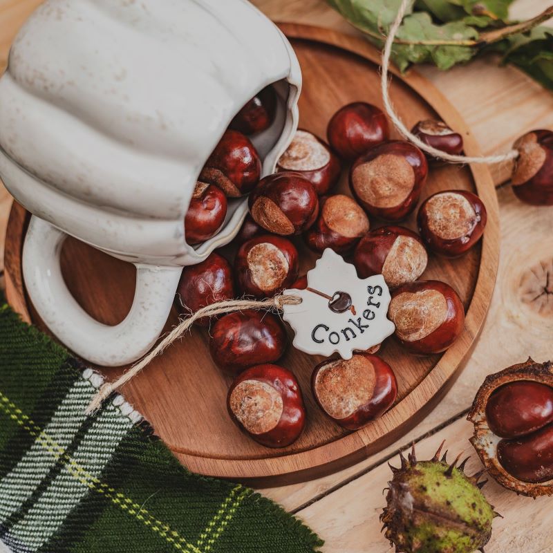 Conkers Decoration - Hand made Ceramic and Porcelain Gifts
