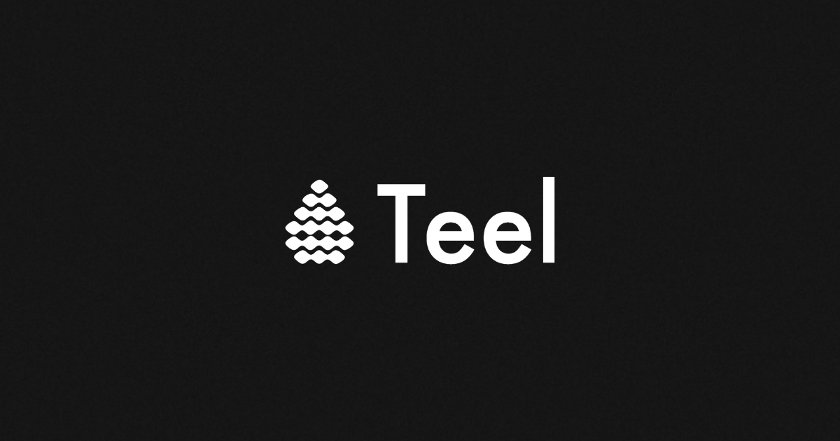 Teel Group | Unparalleled websites, branding, and strategy for industry ...