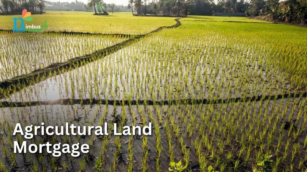 How to Get Agricultural Land Mortgage in India?