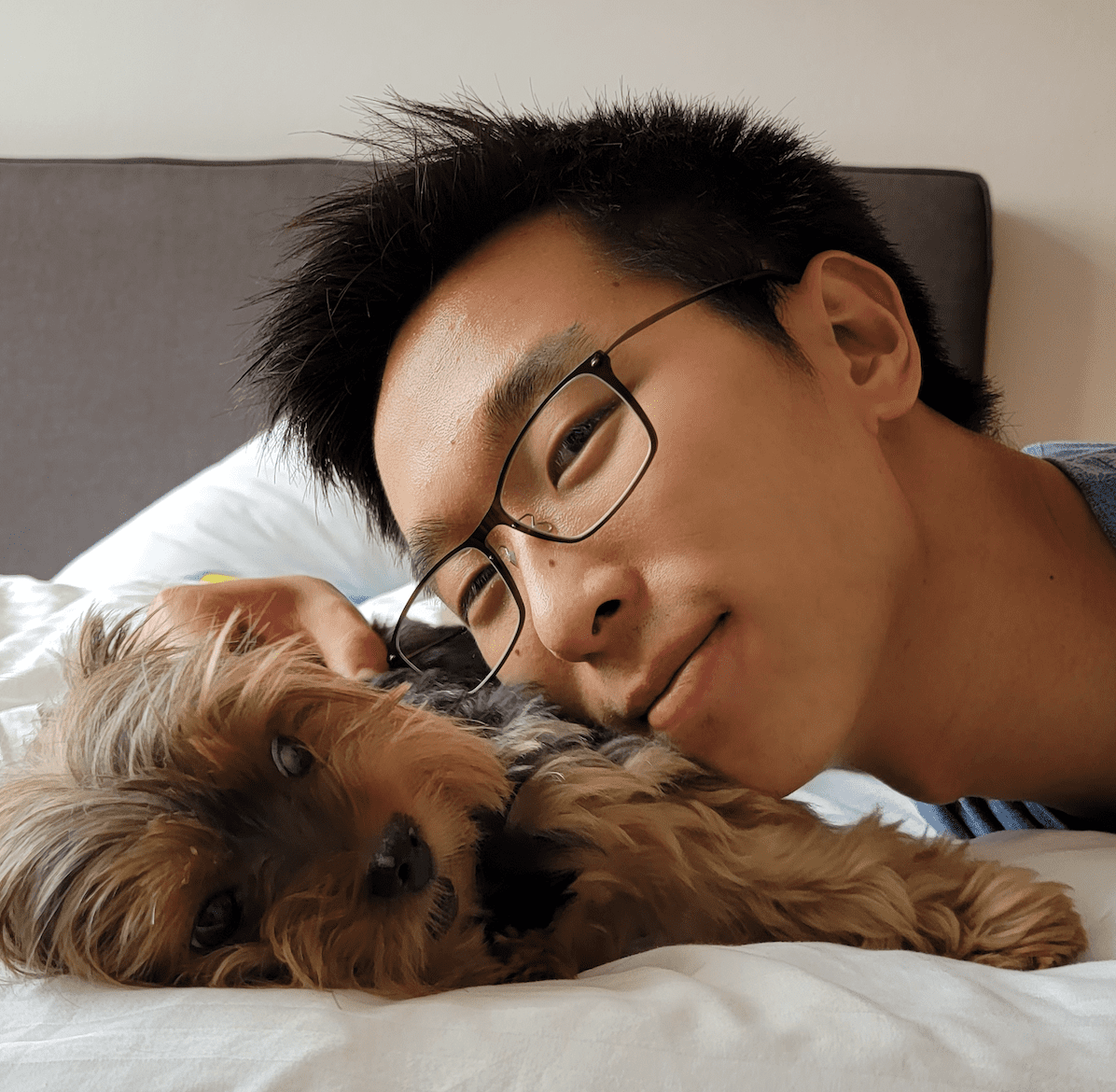 Introducing Video Compatibility to Support Broader Use Cases in ...