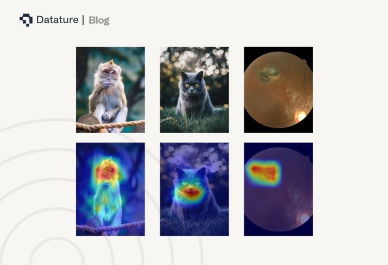 Understanding Your YOLOv8 model with Eigen-CAM