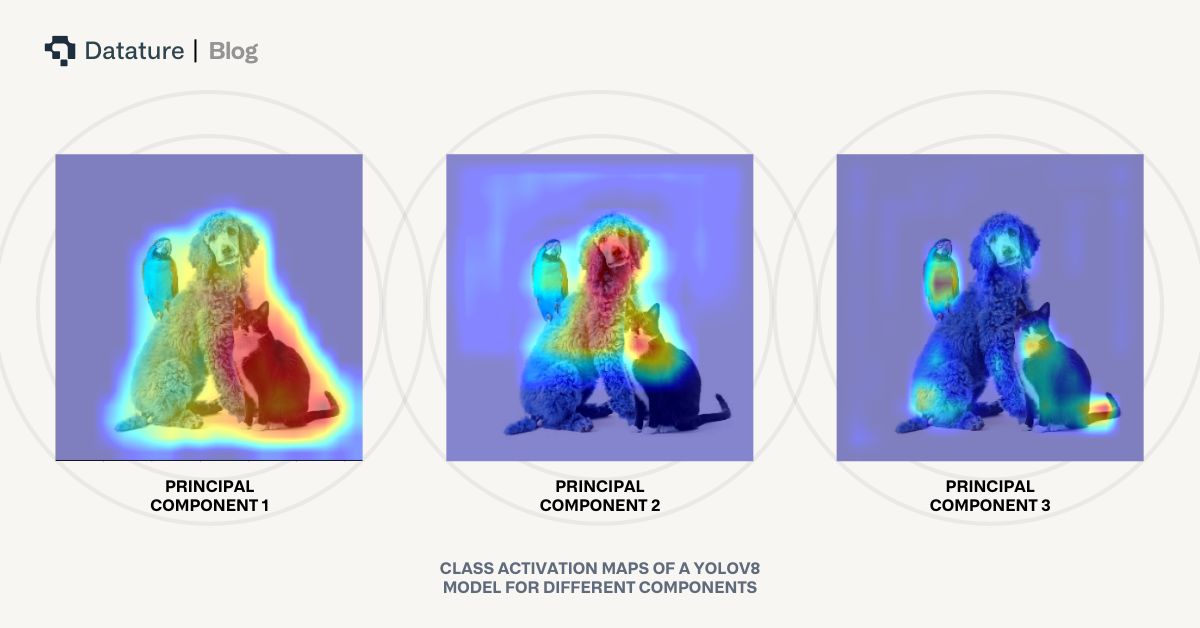 Understanding Your YOLOv8 model with Eigen-CAM