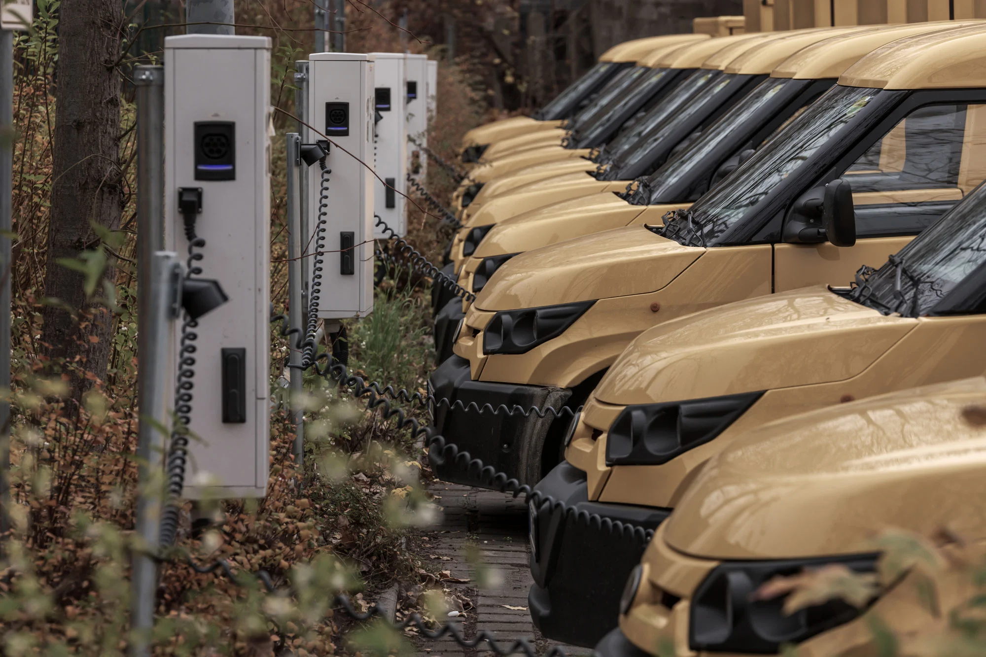 Spirii: Leading the charge