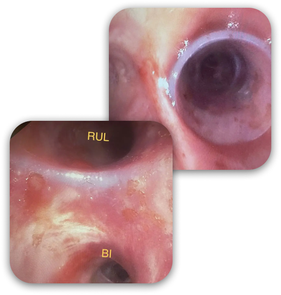 Home [www.visionairsolutions.com]