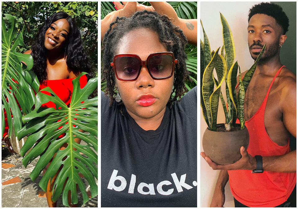 Community Resilience: Healing with Houseplants | MoAD