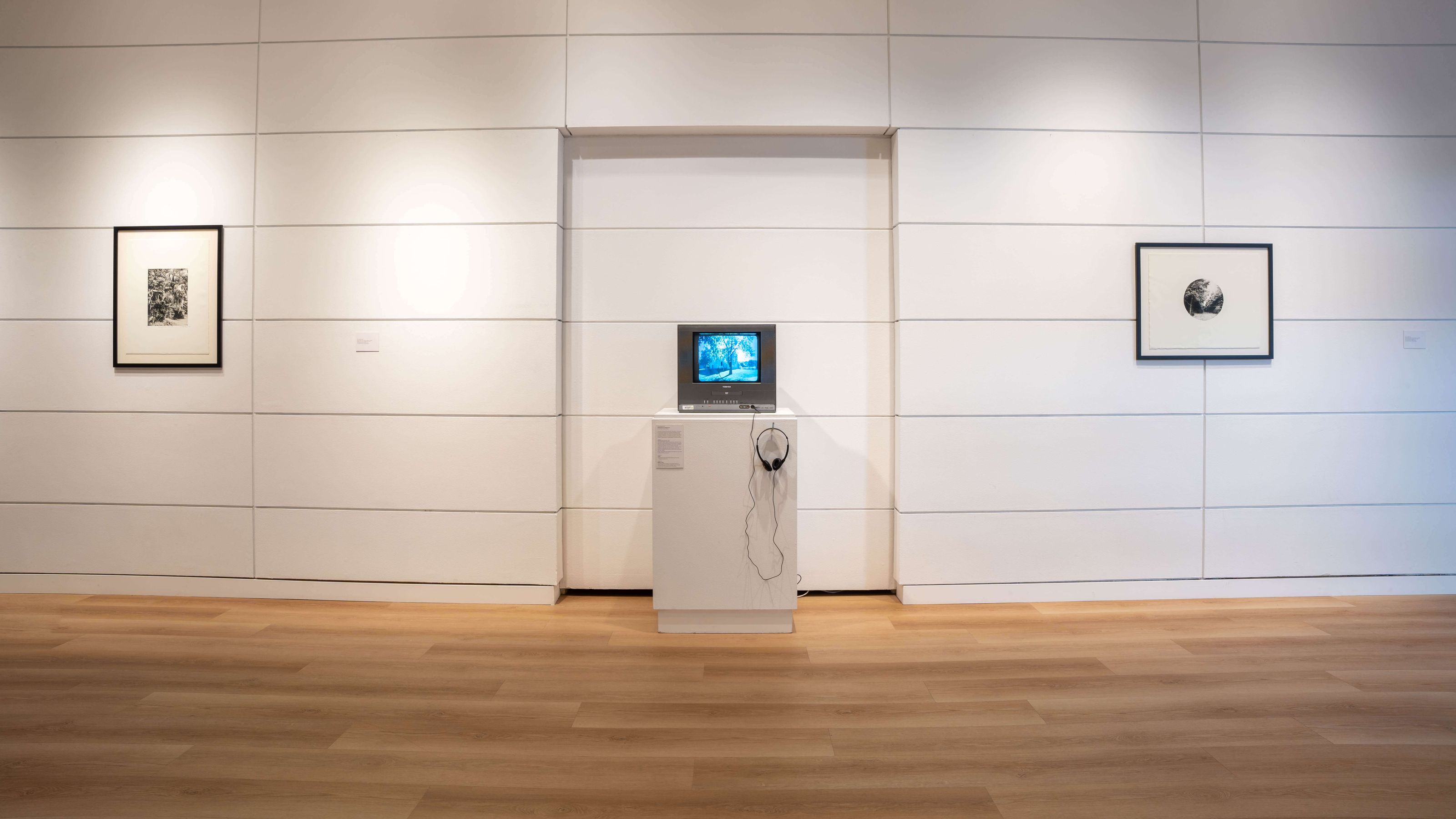 Excavation: Past, Present and Future | Museum of the African Diaspora