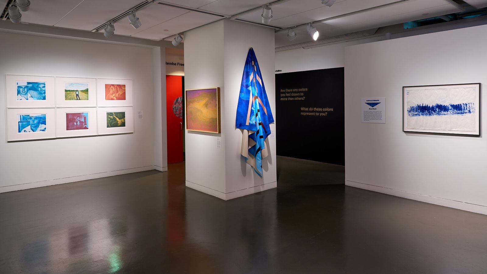 Home | Museum of the African Diaspora (MoAD)