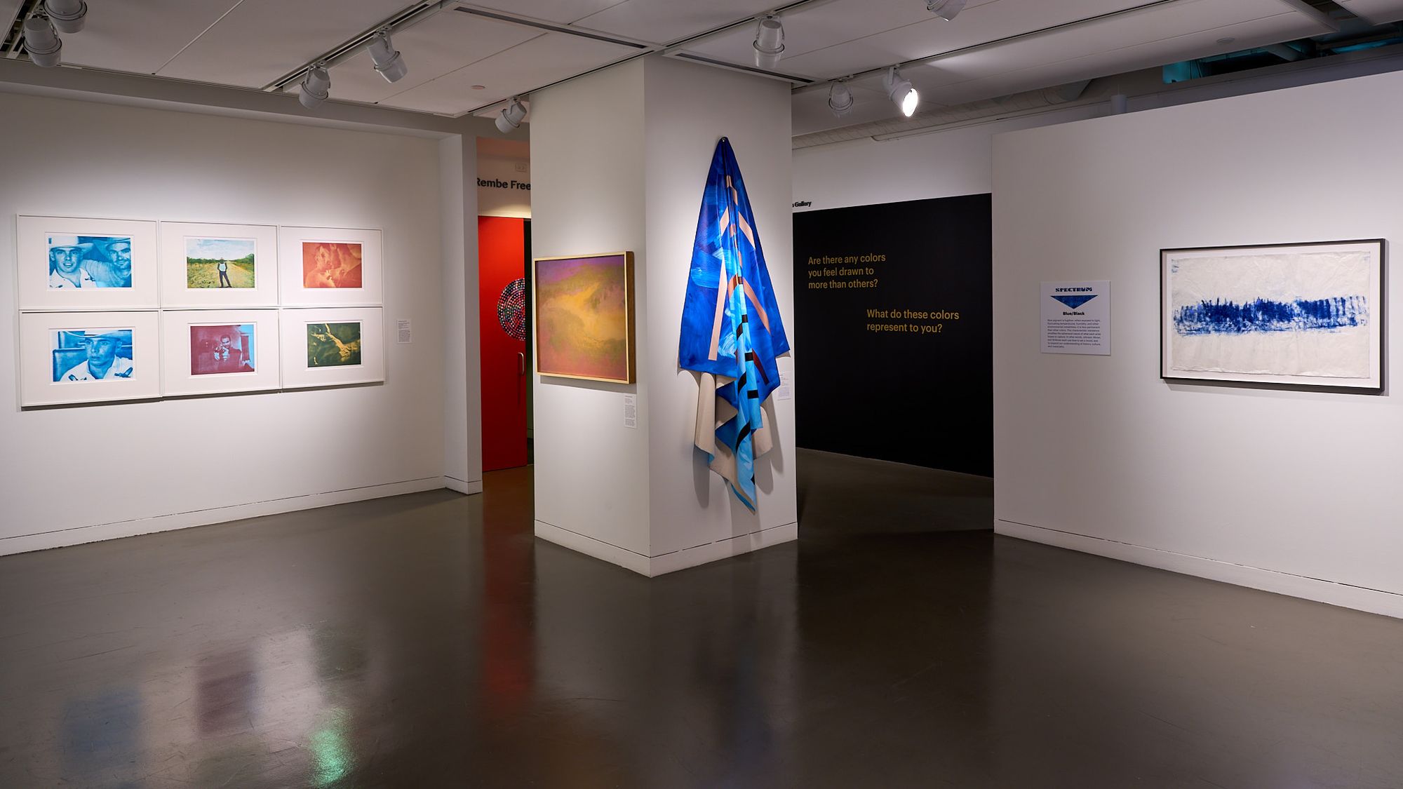 Home | Museum of the African Diaspora (MoAD)