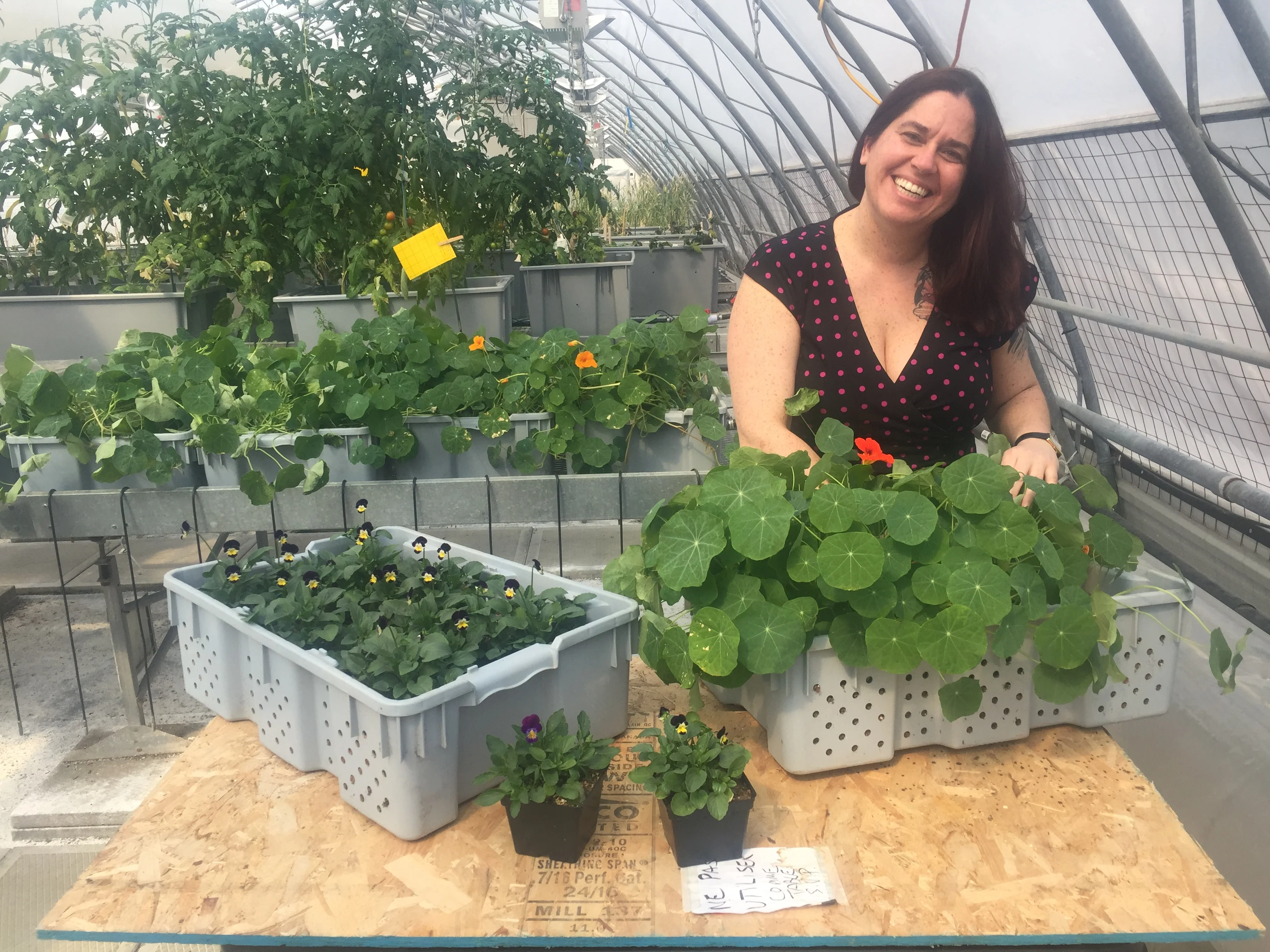 Rencontre avec Mélanie, fondatrice de Fleurs et Feuilles Gourmandes ...