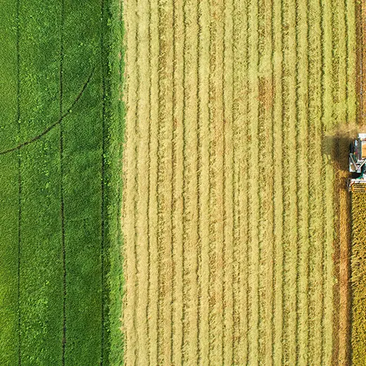 1904labs Case Studies