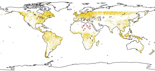 New PlanetDEM Global Elevation Dataset Enhancing Data Reliability