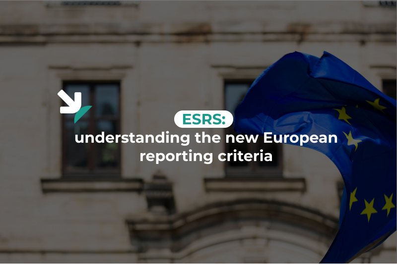 ESRS: understanding European reporting standards