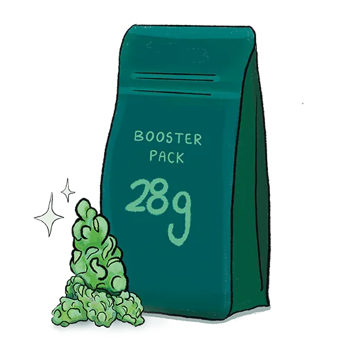 Woody Nelson | Rainbow Driver