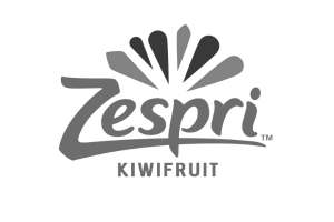 Stickybeak | Rapid global consumer testing