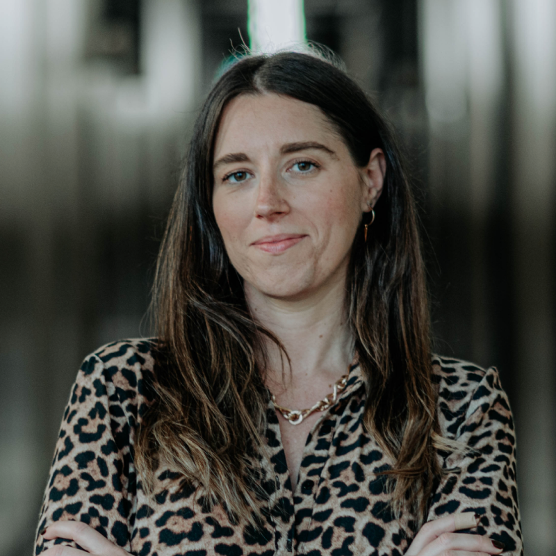 Vista Group Board and Management