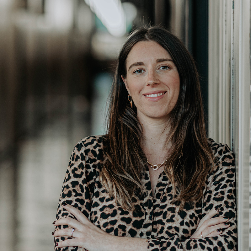 Vista Group Board and Management