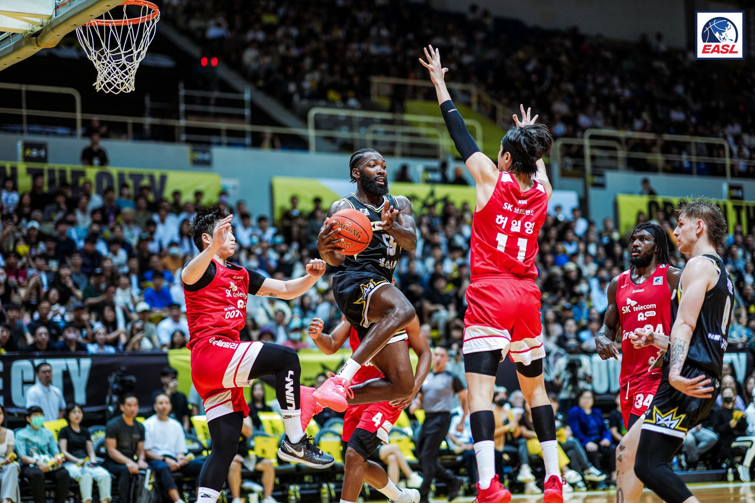 New Taipei Kings | EASL